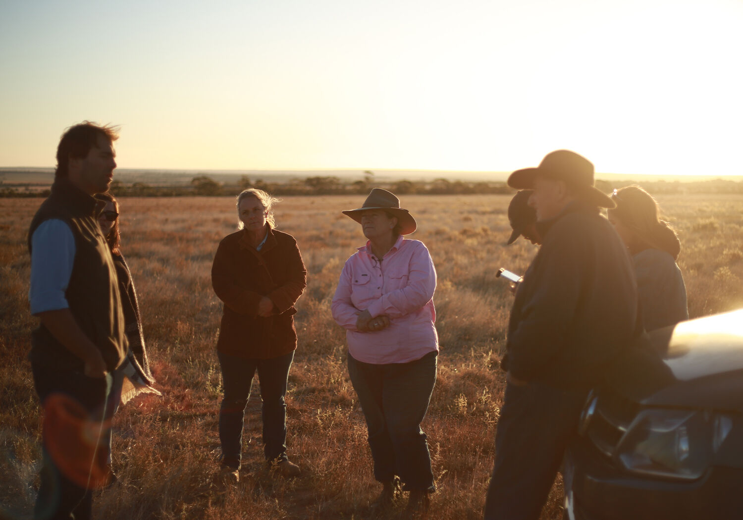 NATIVA™: Regenerative, traceable wool | Stella McCartney