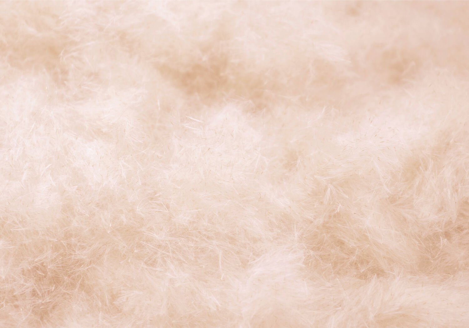 BioPuff® Plant-based Insulation | Stella McCartney